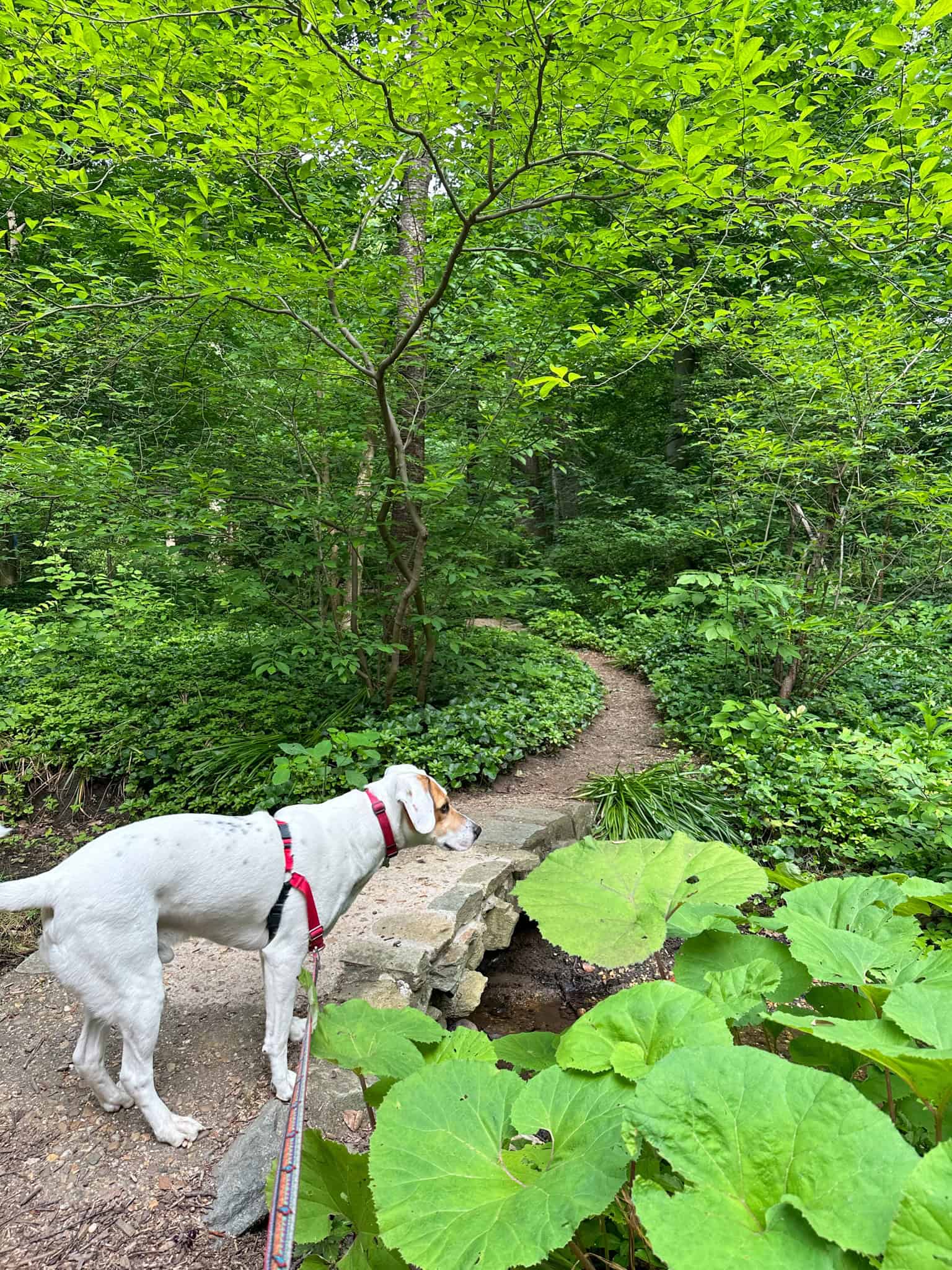 22 Quiet Places in Washington, DC - Not Bored in DC