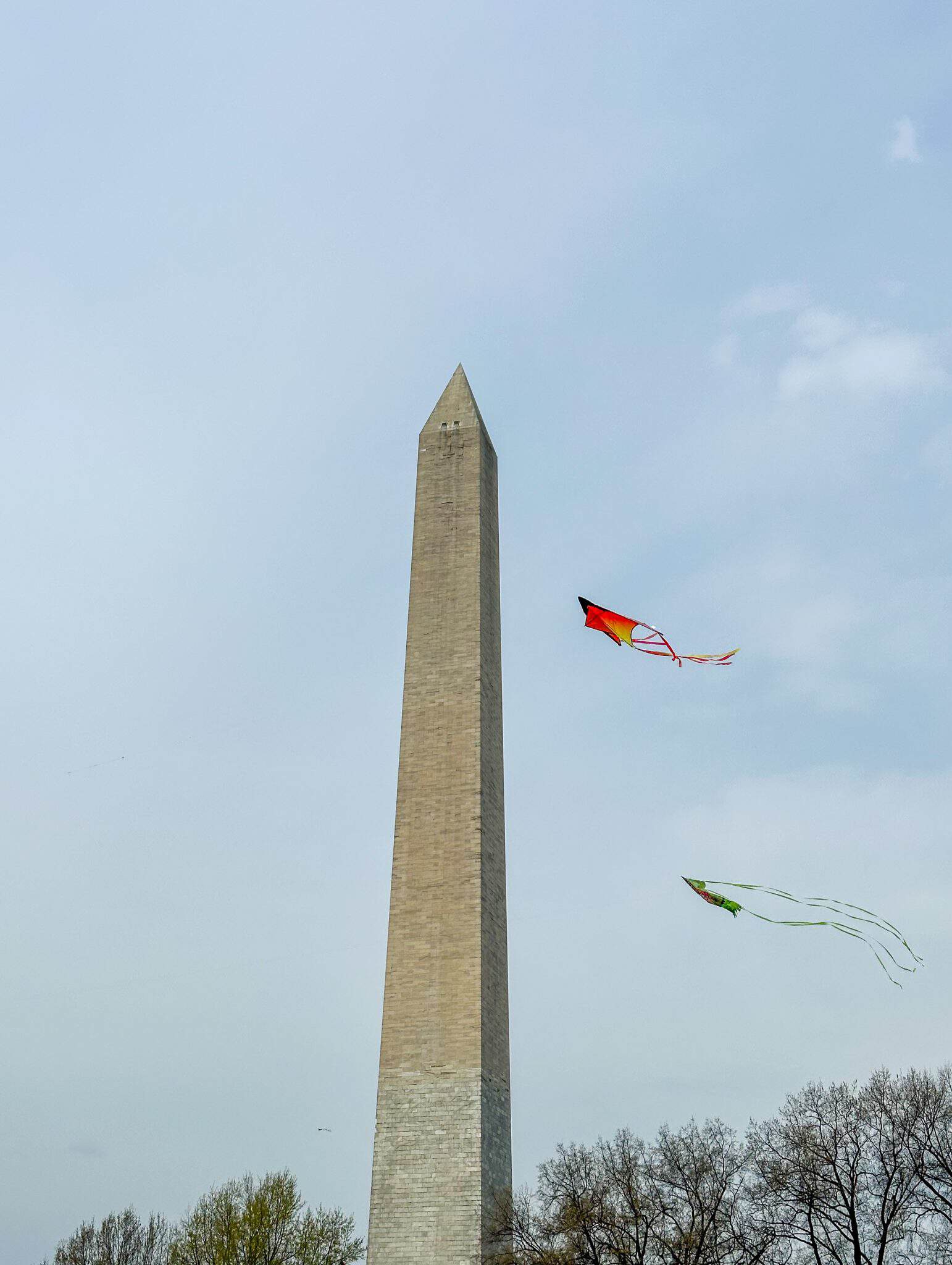 Visiting and Climbing the Washington Monument in 2026: Everything You ...